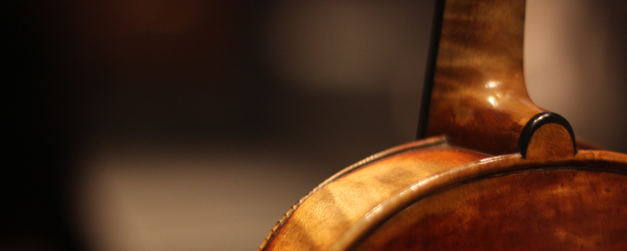 Bridge Strings | Music for your occasion