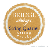 Bridge Strings | Music for your occasion