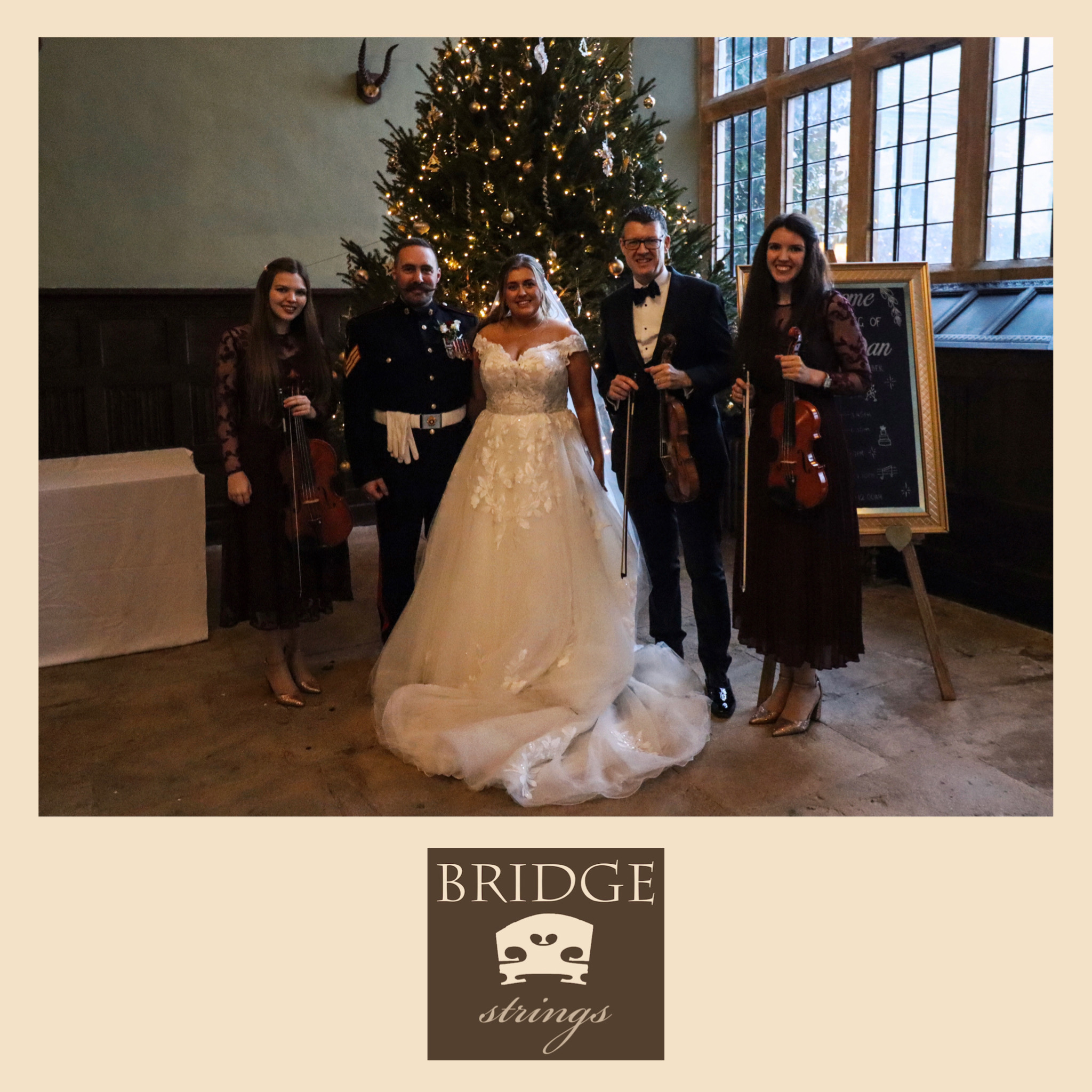 Congratulations Lois & Dan • Bridge Strings