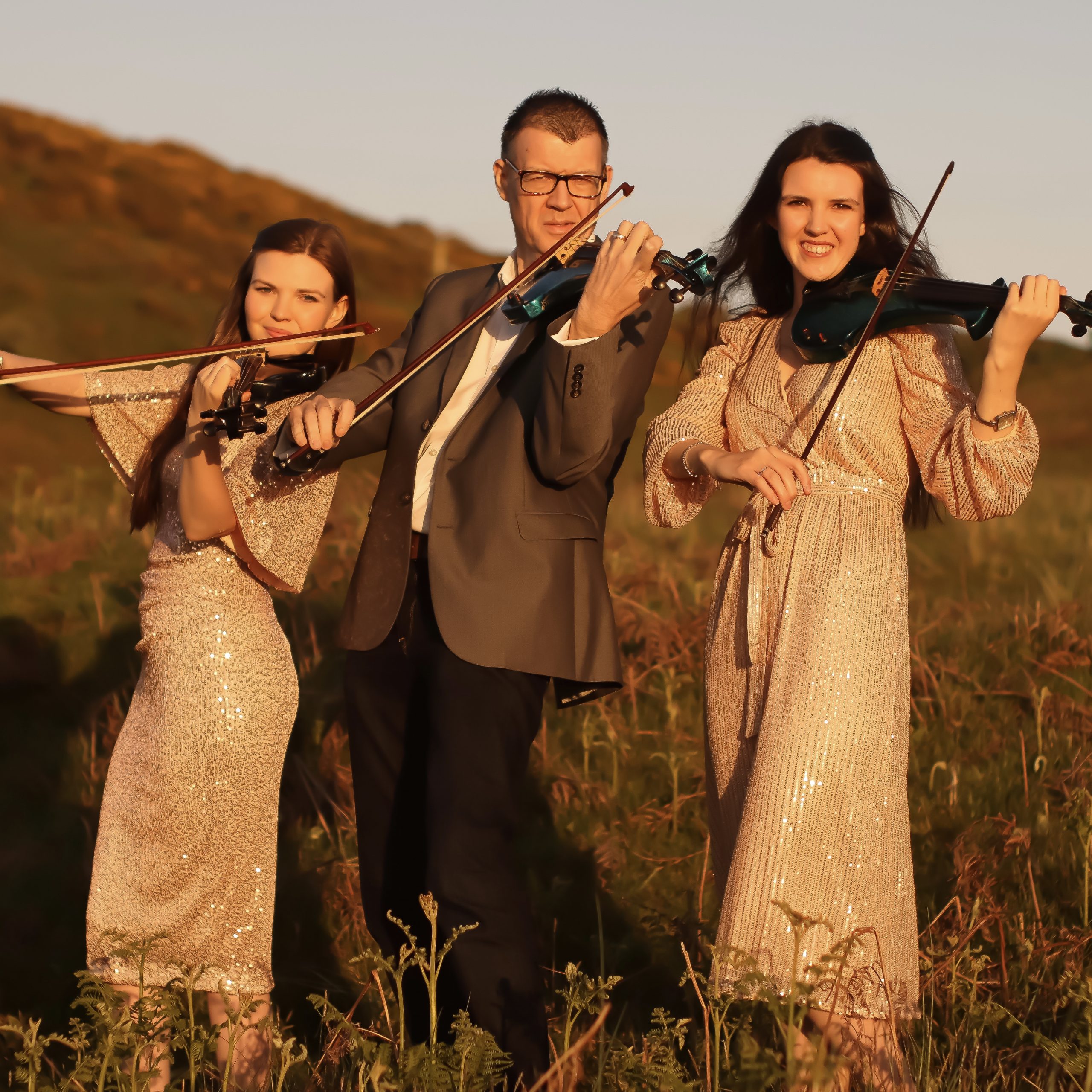 Titanium • Bridge Strings